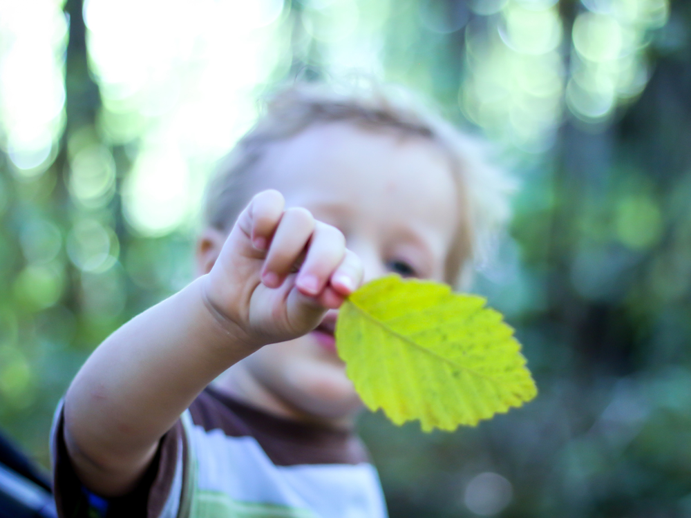 How to ‘teach green’: 4 ways you can help your kids to think ...