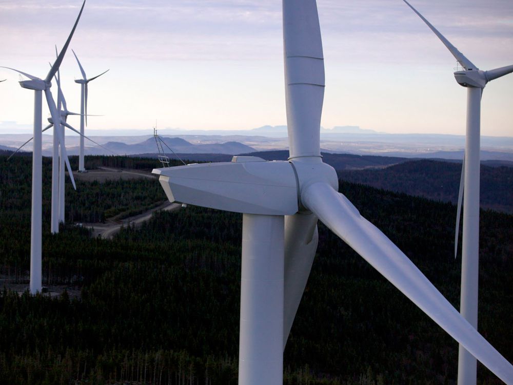 Blue wave or not, a green wave is sweeping the Canadian oilpatch | Biocap