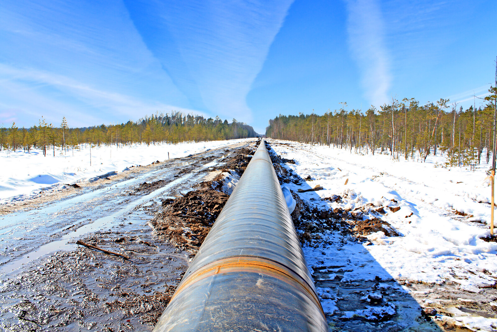 North America’s old pipelines seek new life moving carbon | Biocap