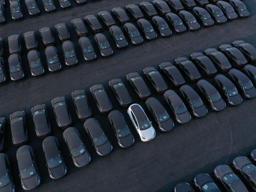 ‘War on climate change’: Tesla-backed engineer Jeff Dahn seeks a ...