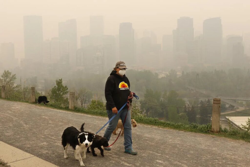 Wildfires made Calgary the most polluted city on Earth. Here’s how air ...